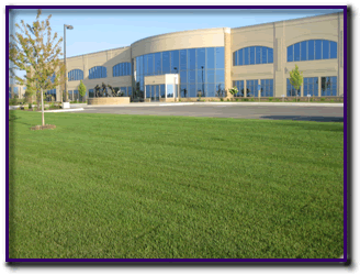 Welcome [aboveallcleaninginc.com]